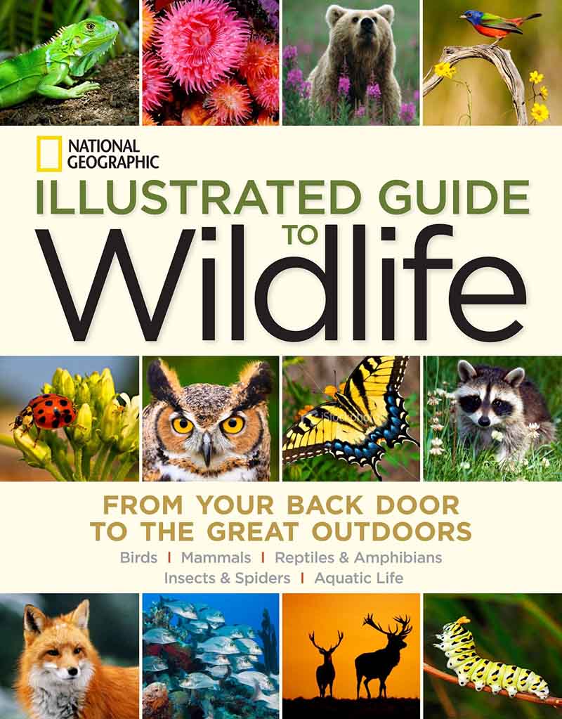 ILLUSTRATED GUIDE TO WILDLIFE - National Geographic | Knjižare Vulkan