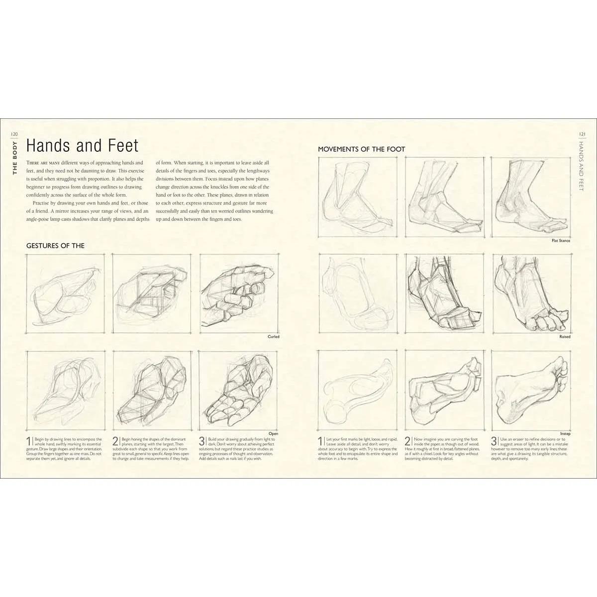 DRAWING FOR THE ARTIST - Sarah Simblet | Knjižare Vulkan