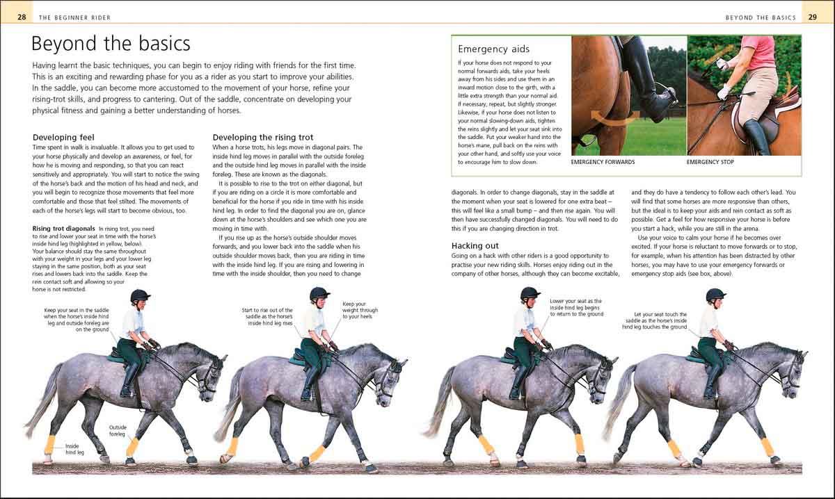 COMPLETE HORSE RIDIN MANUAL - William Micklem, DK | Knjižare Vulkan